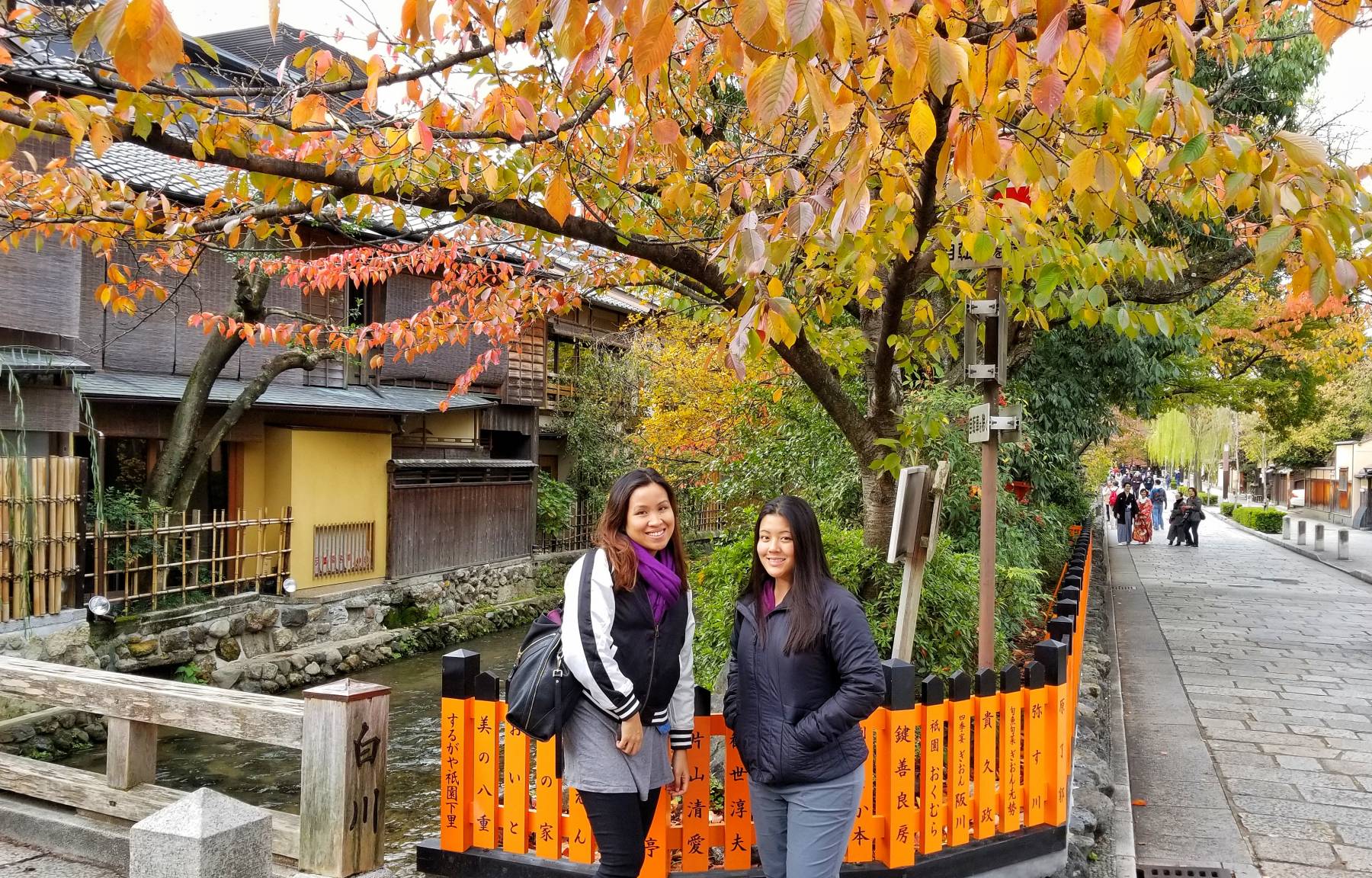 Touring Kyoto with a Local Guide - Desired Tastes