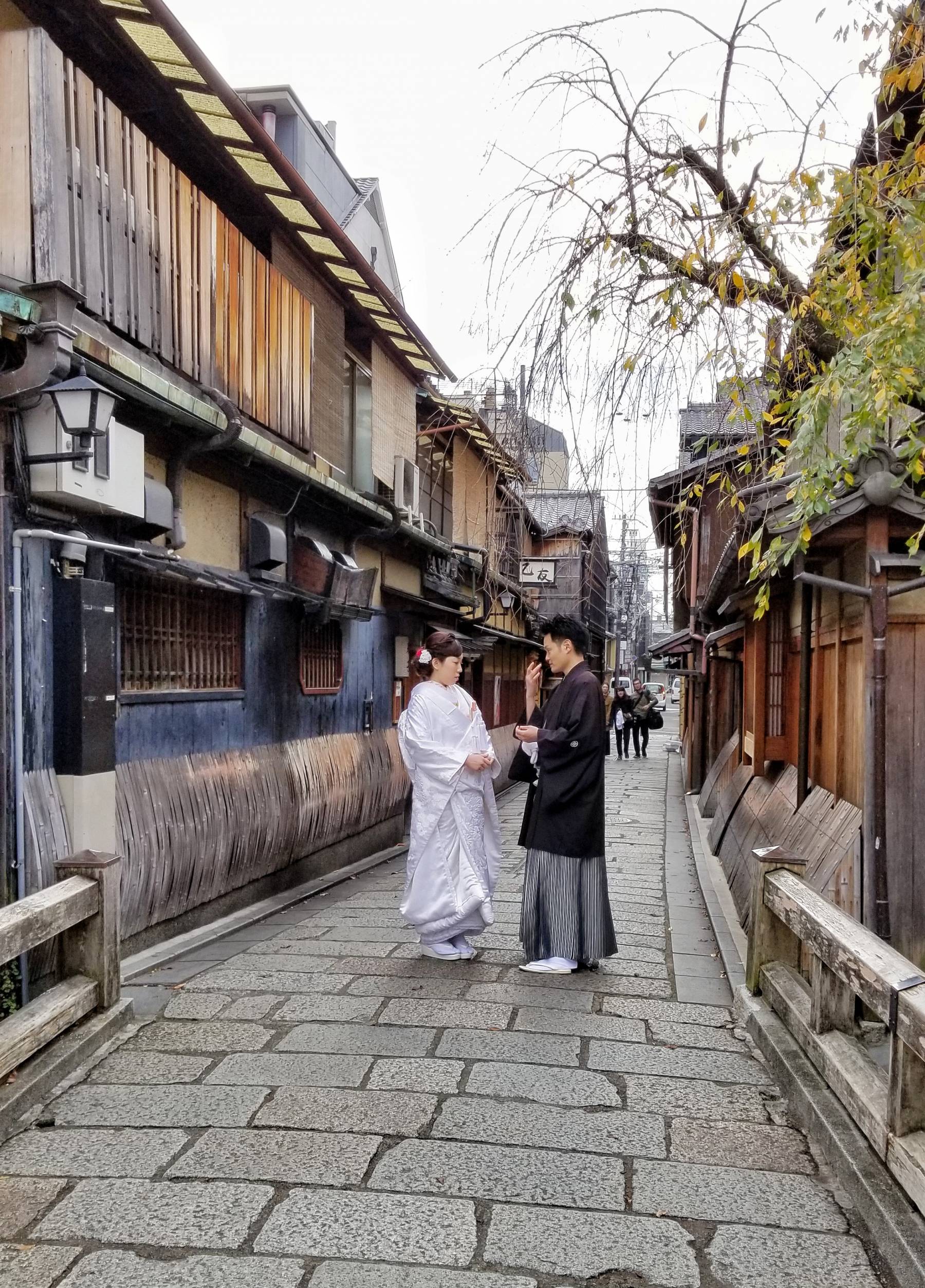 Touring Kyoto with a Local Guide - Desired Tastes