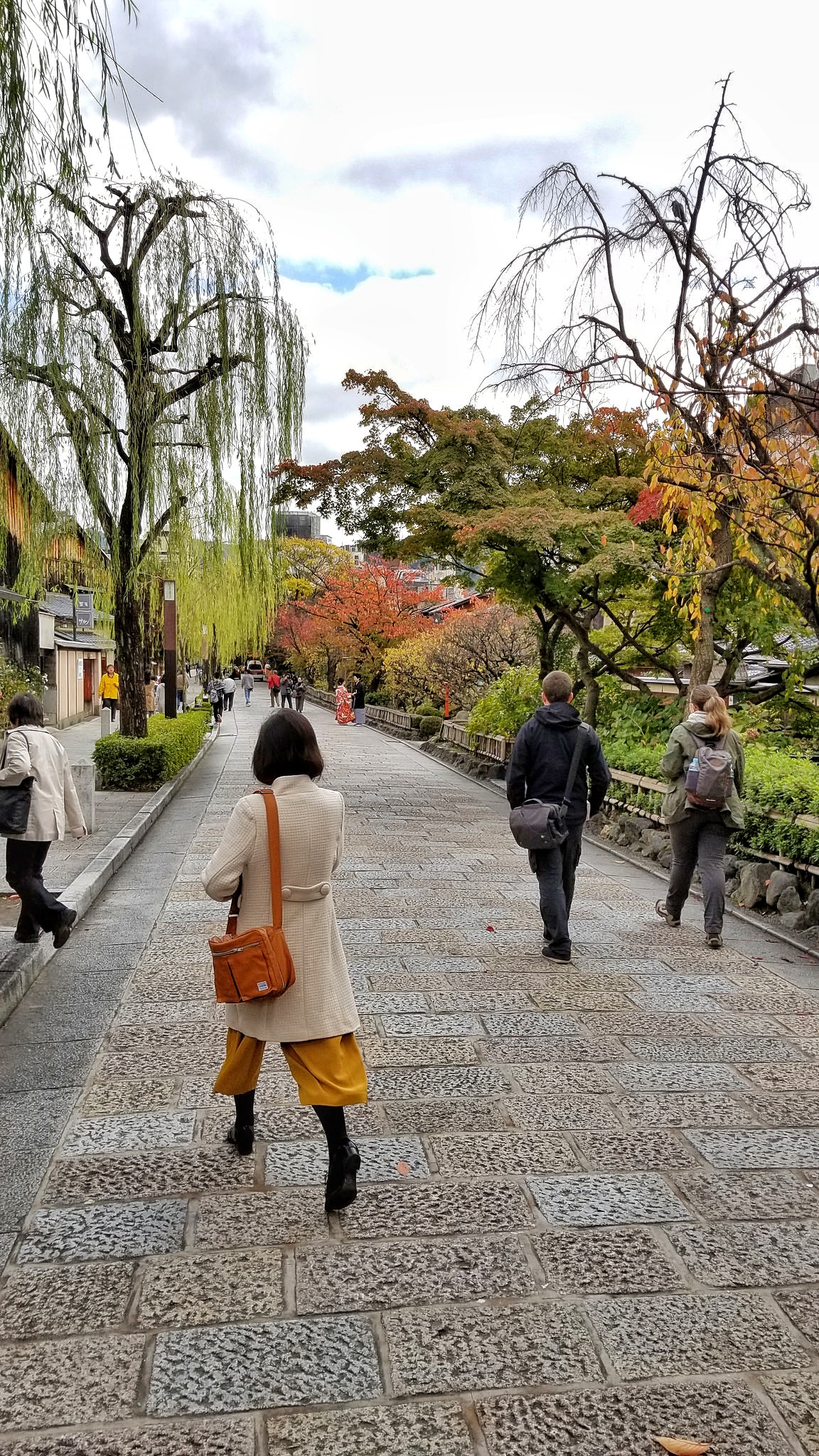 Touring Kyoto with a Local Guide - Desired Tastes
